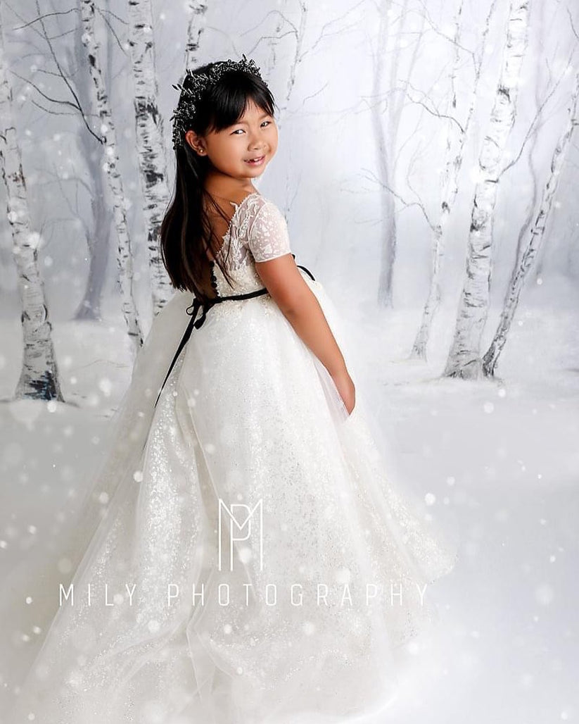 Winter Birch – r2backdrops