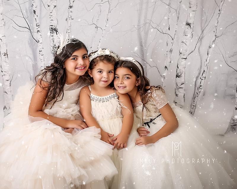 Winter Birch – r2backdrops