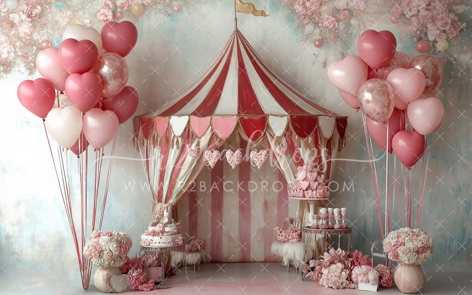 R2 Backdrops - Photography Backdrops – r2backdrops