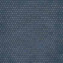 Timothy – r2backdrops