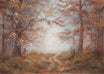 Fall Woods – r2backdrops