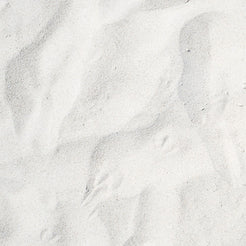 Sandy White – r2backdrops