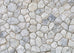Stone Floor – r2backdrops