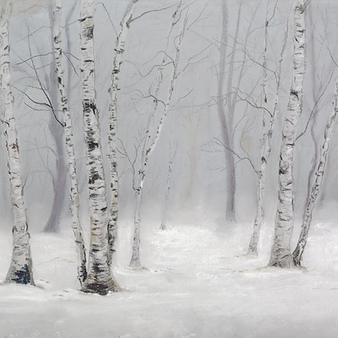 Winter Birch – r2backdrops
