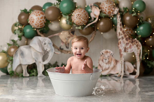 Wild One Safari – r2backdrops