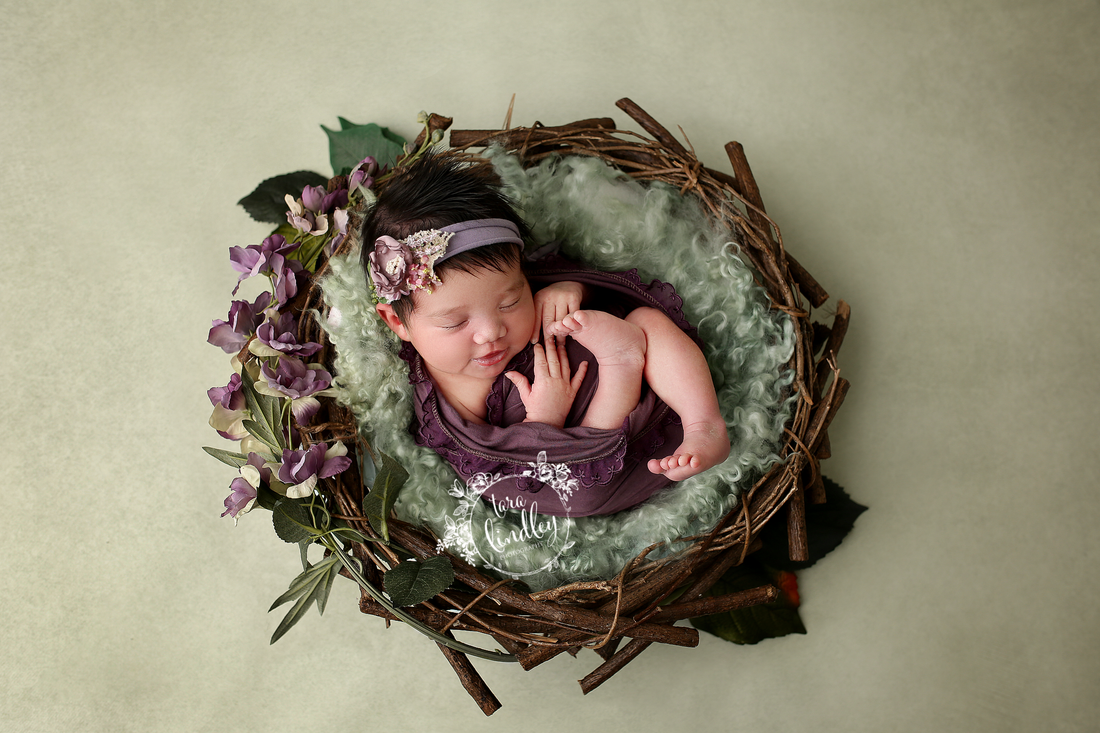 Sage Jasper – r2backdrops