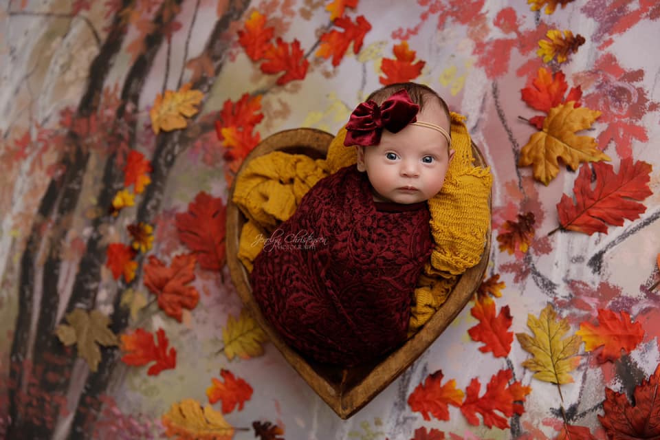 Marigold – r2backdrops