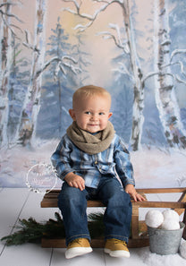 Winter Eve – r2backdrops